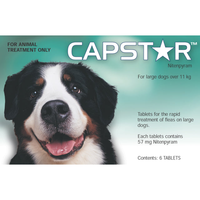 Capstar For Dogs Over 11kg (6 tablets) – Pet PA NZ