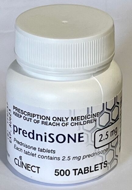 PrednisONE Clinect 2.5mg Tablet (Prednisolone) (Per Tablet) Prescripti ...