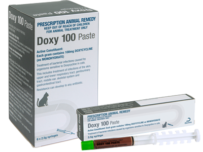 Doxy 100 Paste 2.5g syringe (Per Syringe) Prescription Required – Pet PA NZ