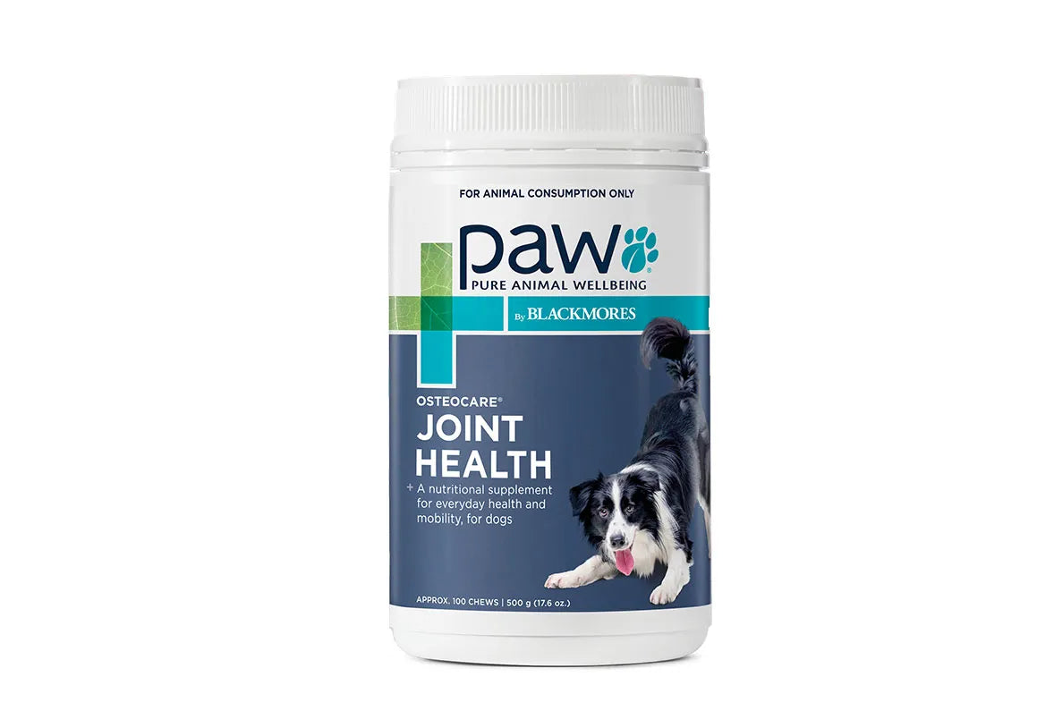 PAW Joint Health Chews for Dogs 500g - Joint Health and Tasty Treat ...