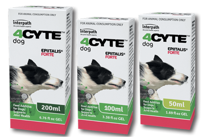 4CYTE Epiitalis Forte Gel for Dogs – Pet PA NZ