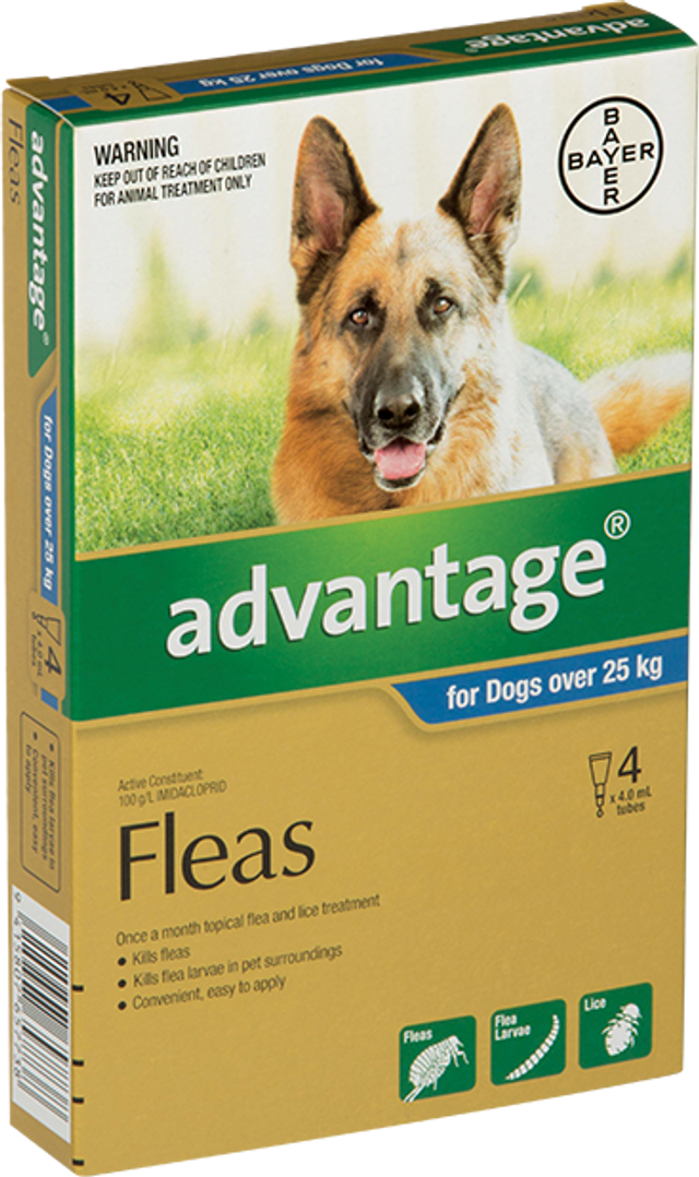 Advantage Dog X-Large Dog 25kg+ - Flea Treatment 4-pack – Pet PA NZ